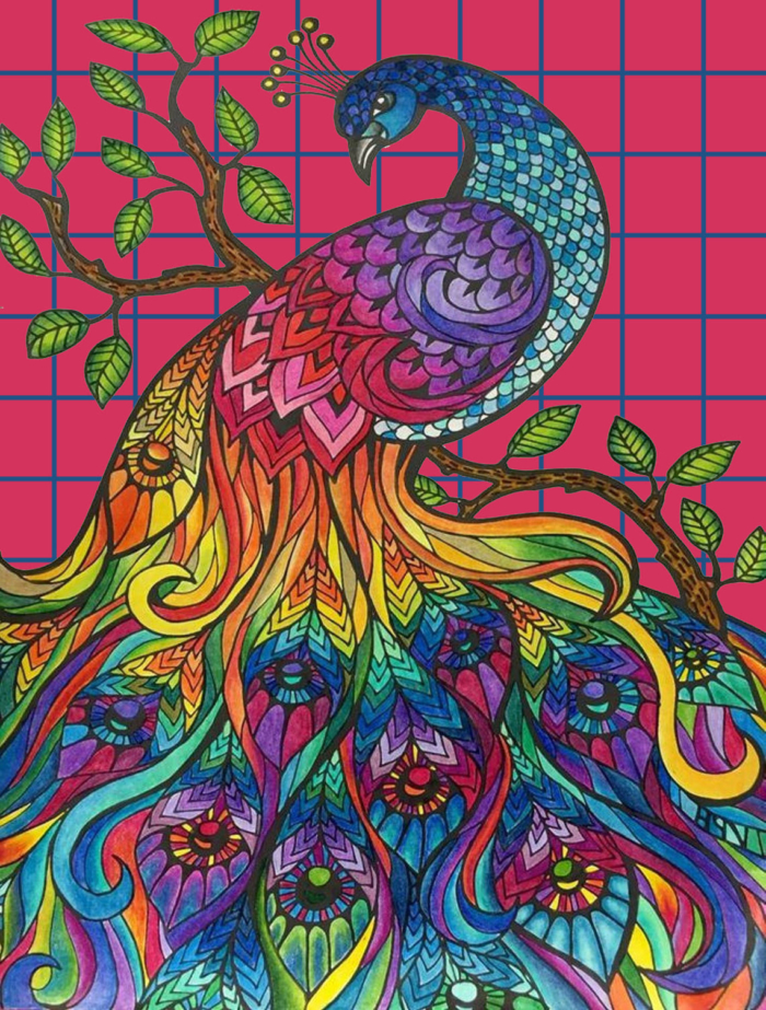 Colorful Drawings And Pictures For Sketching