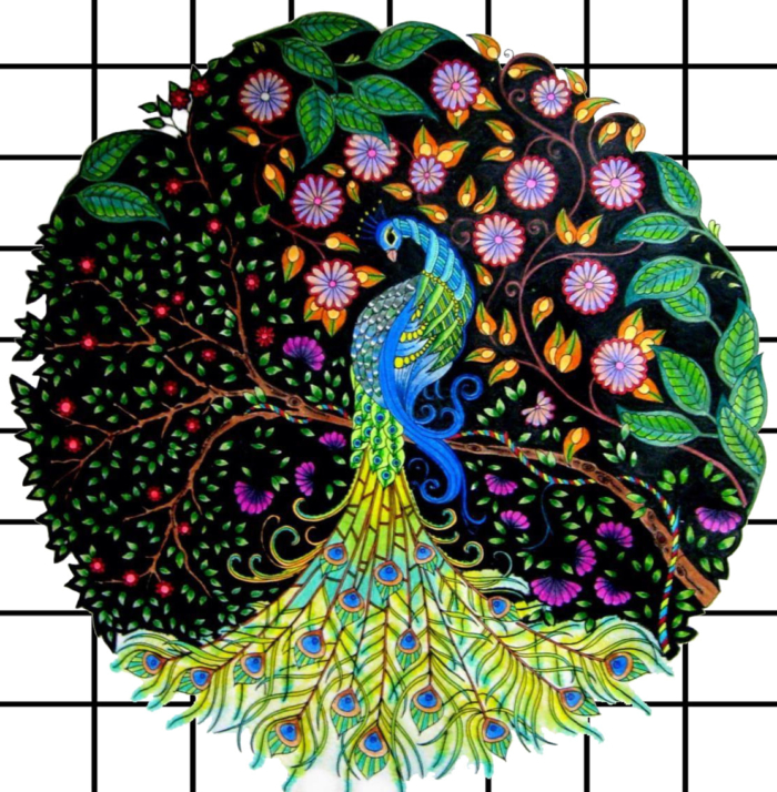 Colorful Drawings And Pictures For Sketching