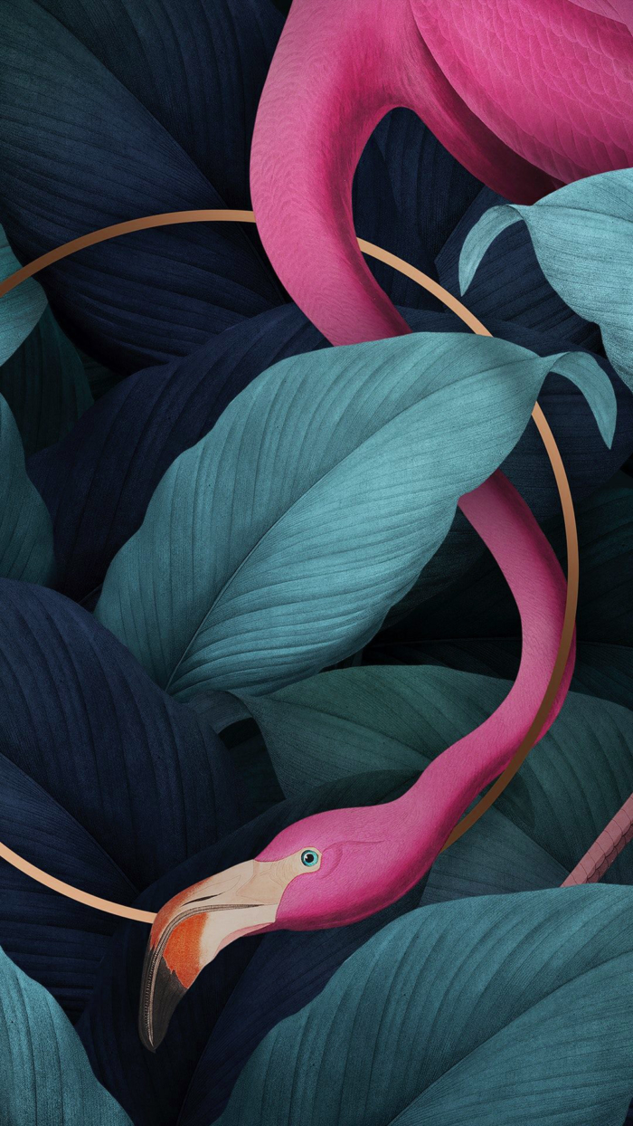 Flamingo Phone Wallpaper
