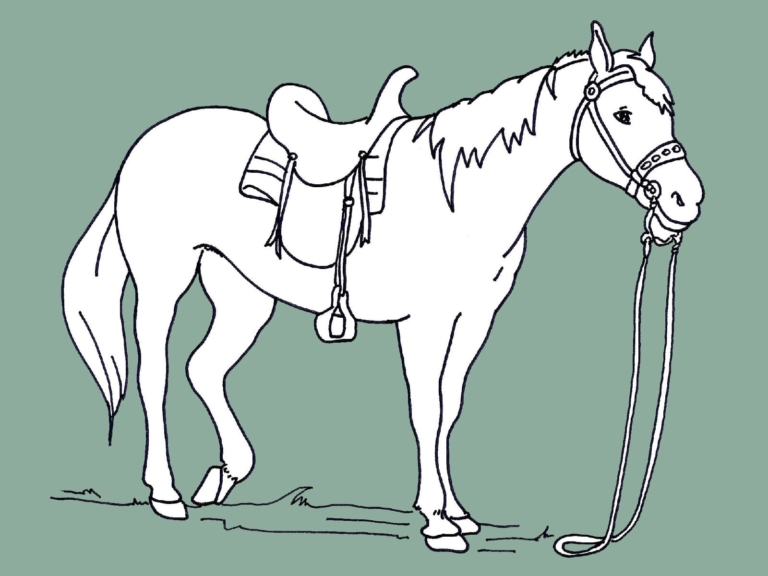 Dessins de chevaux à dessiner - 100 images gratuites
