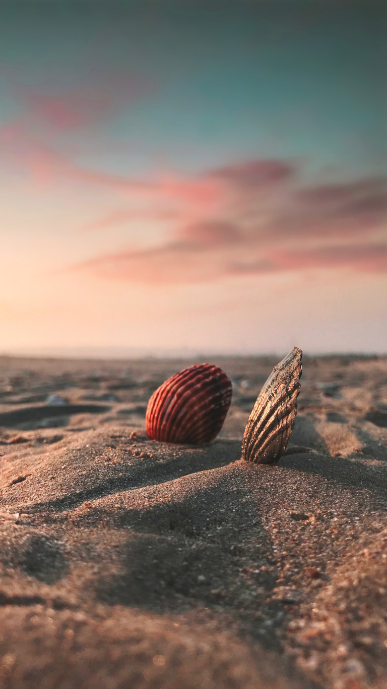 Beach Phone Wallpapers HD