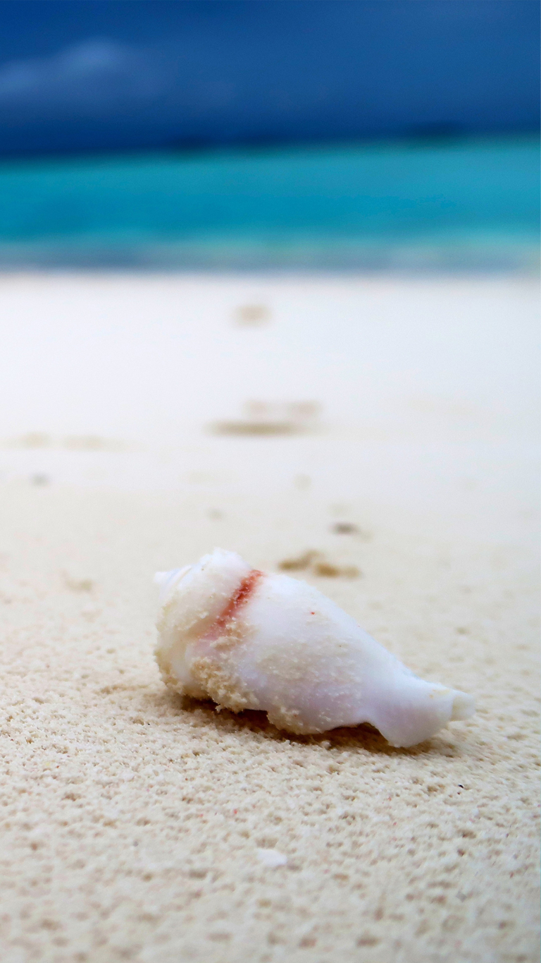 Beach Phone Wallpapers HD