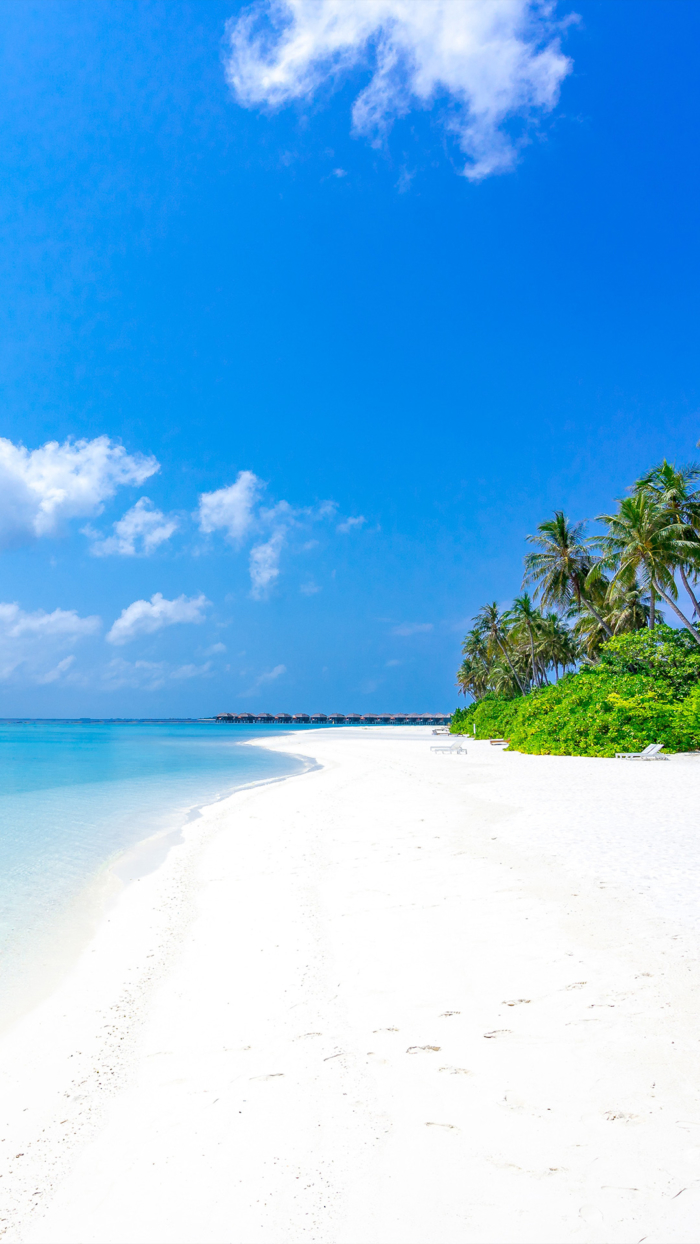 Beach Phone Wallpapers HD