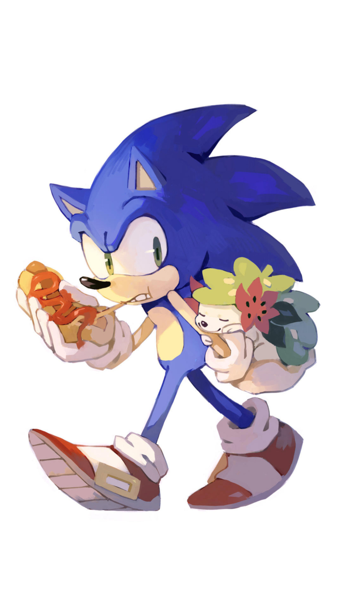 Sonic The Hedgehog Phone Wallpapers HD, 4K