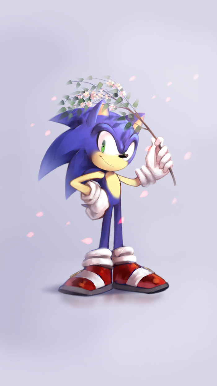 Sonic The Hedgehog Phone Wallpaper HD, 4K