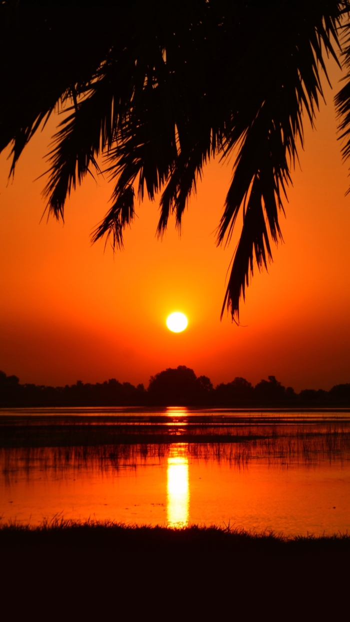 Sunset Phone Wallpapers - 100 Pictures HD, 4K