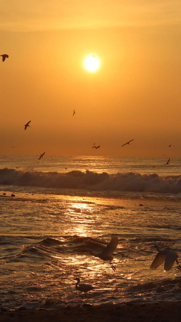 Sunset Phone Wallpapers - 100 Pictures HD, 4K