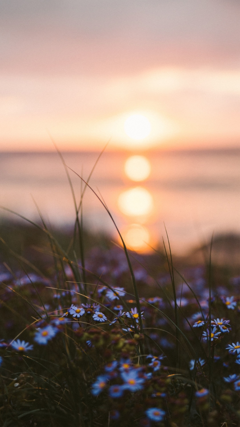 Sonnenuntergang Handy-Hintergrundbilder HD, 4K