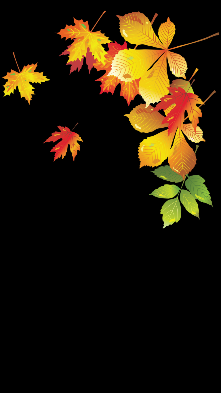 Autumn Phone Wallpapers - 120 Pictures of The Fall 2k and 4k