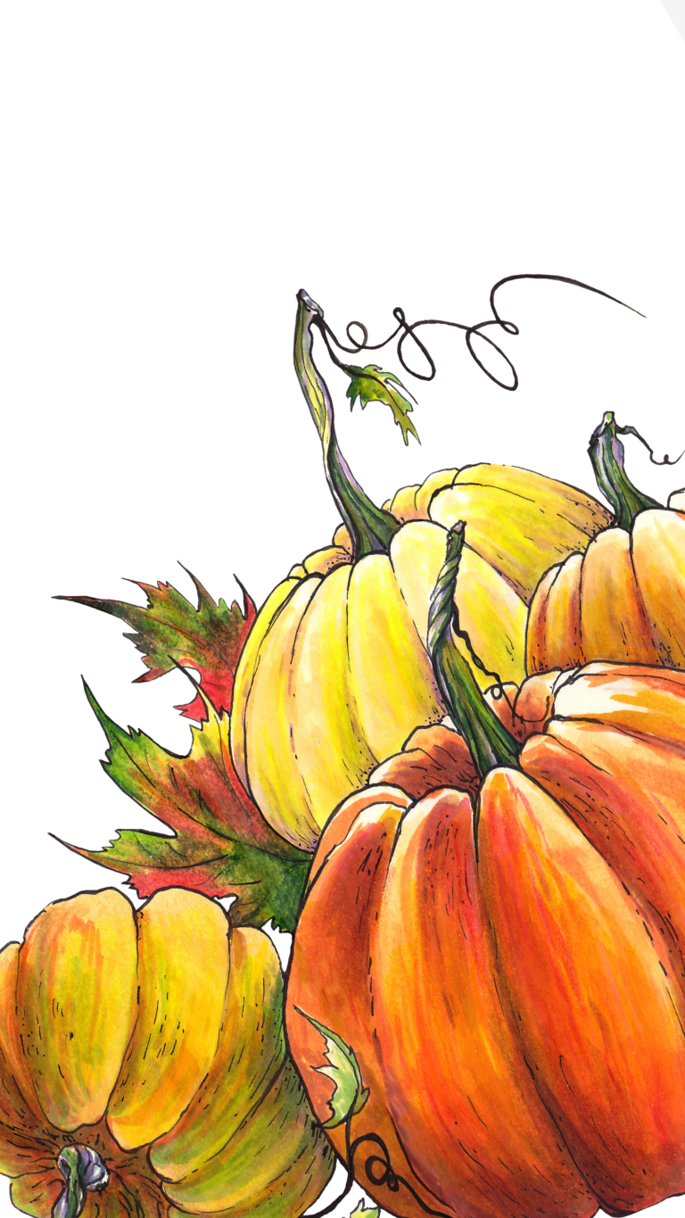 Pumpkin phone wallpapers 2k, 4k for free