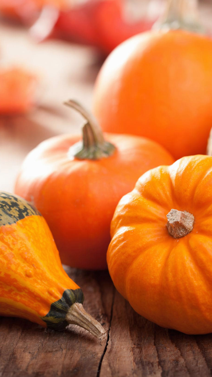 Pumpkin phone wallpapers 2k, 4k for free