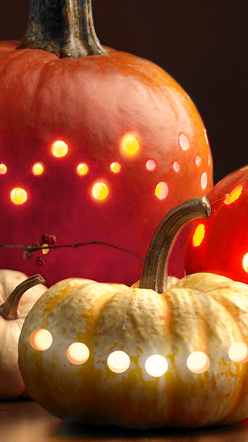 Pumpkin phone wallpapers 2k, 4k for free