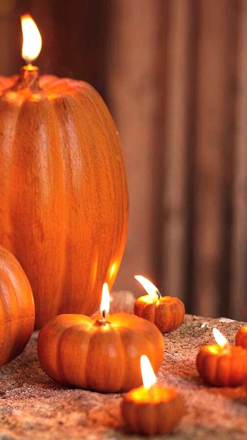 Pumpkin phone wallpapers 2k, 4k for free