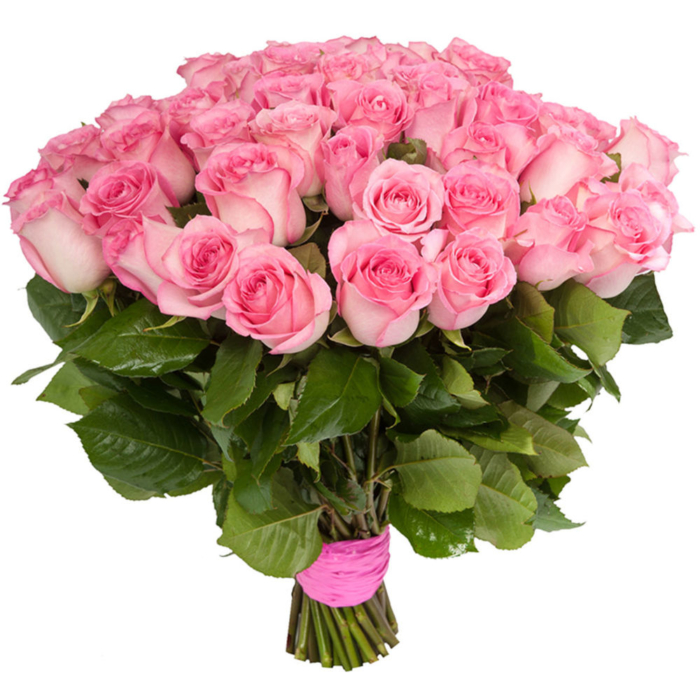 Photos of Beautiful Roses - 130 Bouquets in High Resolution