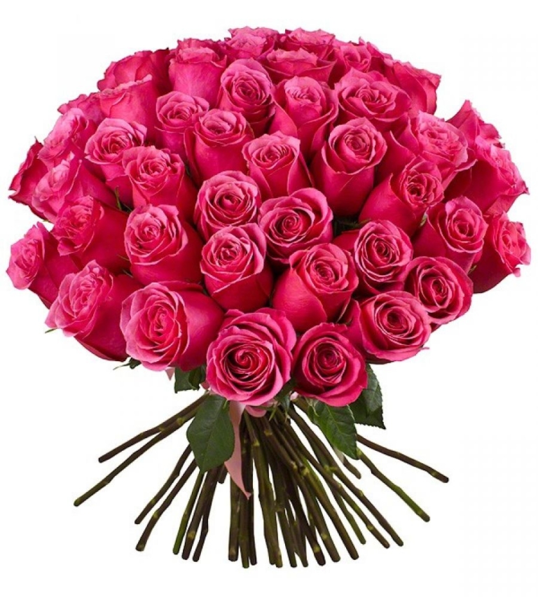 Photos de roses. 130 photos de beaux bouquets en haute résolution