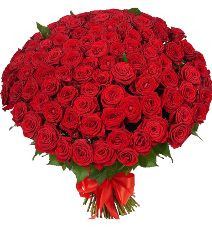 Photos de roses. 130 photos de beaux bouquets en haute résolution