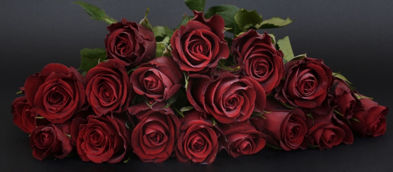 Fotos de rosas. 130 fotos de hermosos ramos de flores en alta resolución