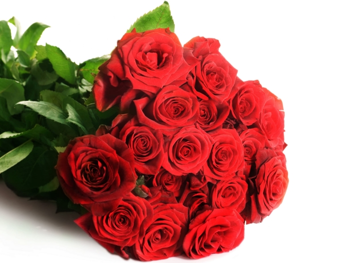 Photos de roses. 130 photos de beaux bouquets en haute résolution