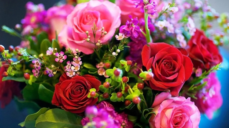 Photos de roses. 130 photos de beaux bouquets en haute résolution