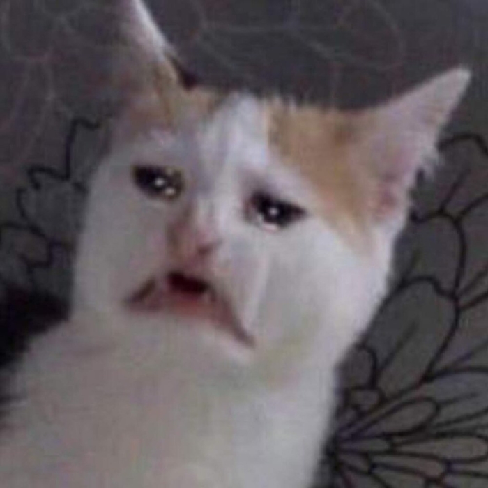 Pictures of Sad Cats. Photos, Cliparts, Images of Cats in Sadness